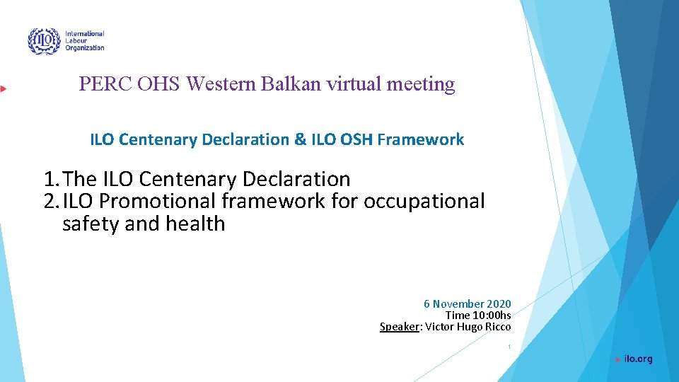 PERC OHS Western Balkan virtual meeting ILO Centenary