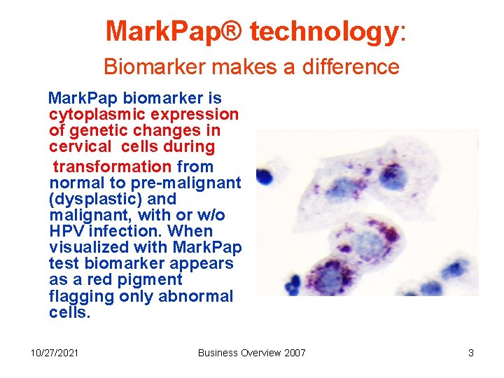 Mark Pap Technology PAST PRESENT AND FUTURE Bio