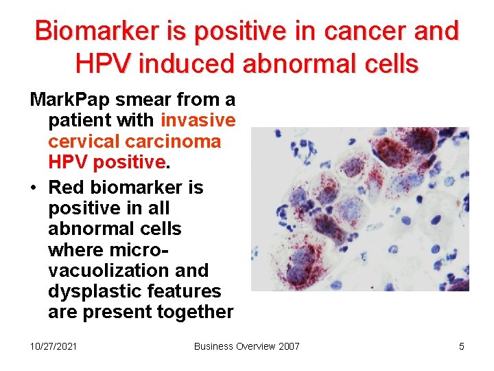 Mark Pap Technology PAST PRESENT AND FUTURE Bio