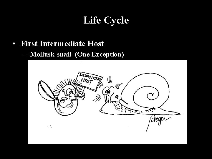 Overview of Common Types of Parasite Life Cycles