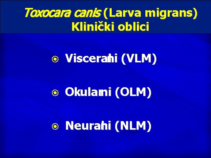 Toksokarijaza Prikaz bolesnika Toxocara canis Nematode askaridi Prirodni
