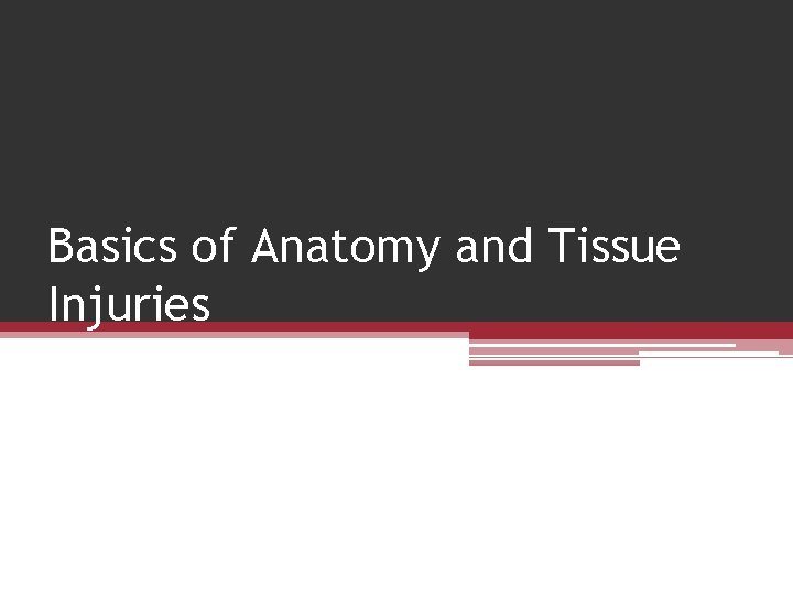 Basics of Anatomy and Tissue Injuries Anatomical Position