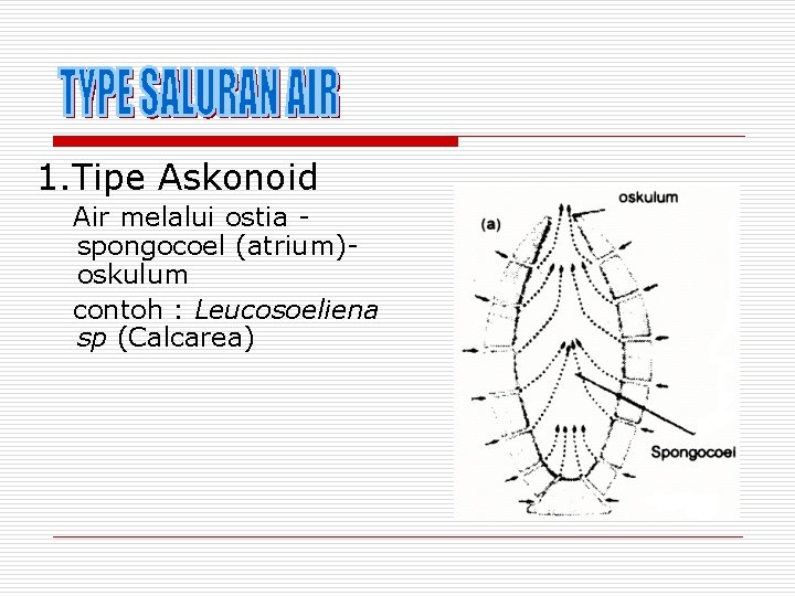 Sri Mutarsih SPd SMA Negeri 1 Boja SK