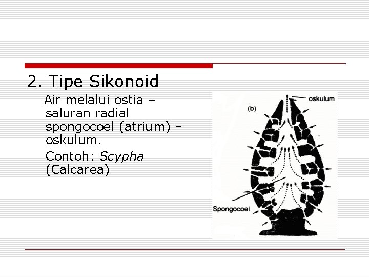 Sri Mutarsih SPd SMA Negeri 1 Boja SK