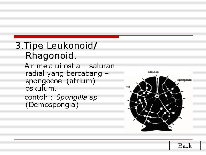 Sri Mutarsih SPd SMA Negeri 1 Boja SK