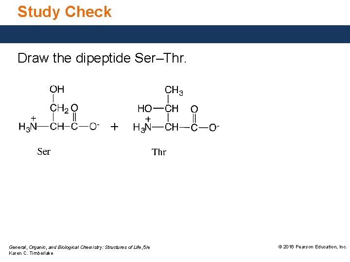19 3 Formation of Peptides A peptide bond