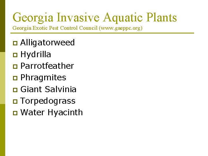 Invasive Aquatic Plants Gary J Burtle Animal Dairy