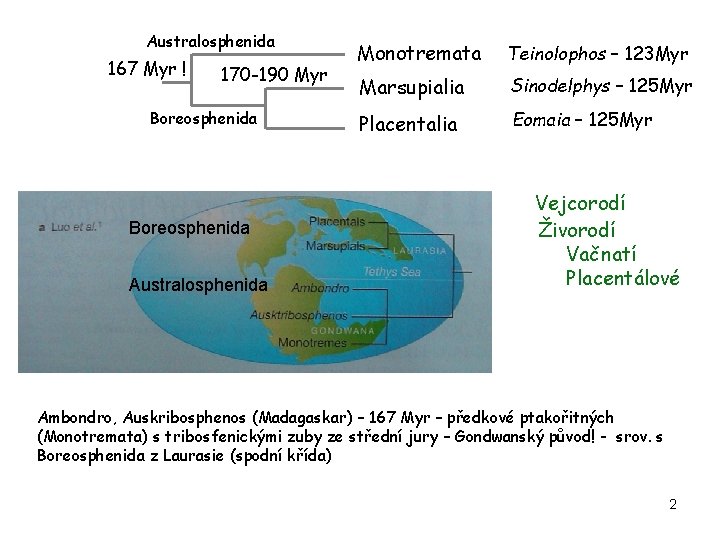 MODULARIZACE VUKY EVOLUN A EKOLOGICK BIOLOGIE CZ 1
