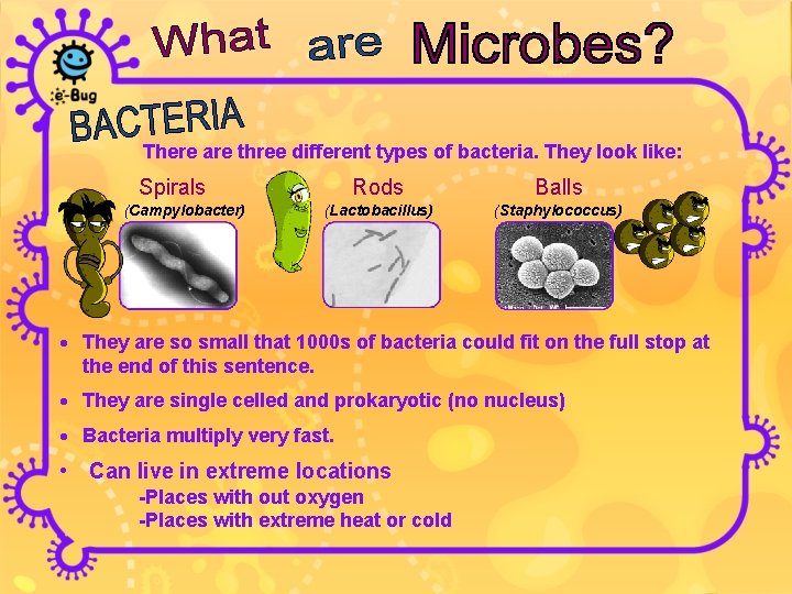Warm Up pg 77 Get a Micrboes Reading