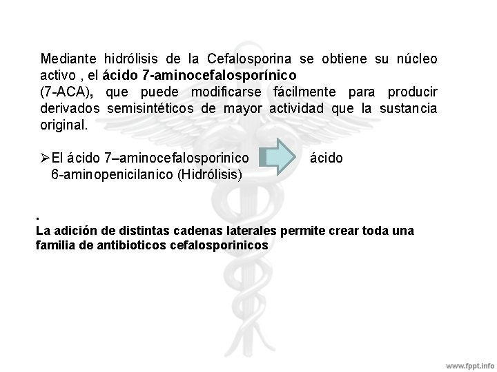 En 1948 Brotzu aisl al microorganismo hongo Cephalosporium