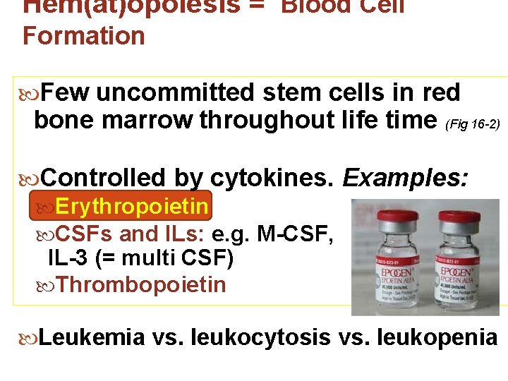 Ch 16 Blood Plasma and Cellular Elements of