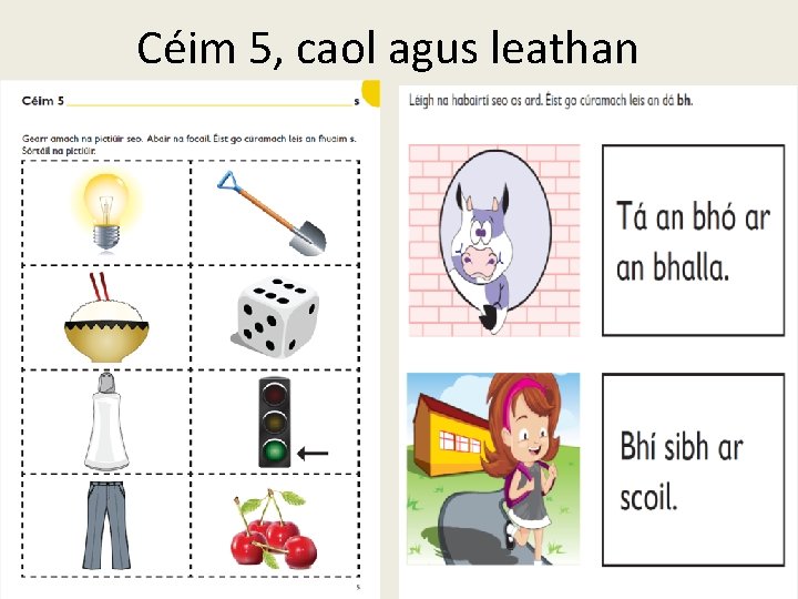 Cd na Gaeilge Feabhra 2013 An Cd Rang