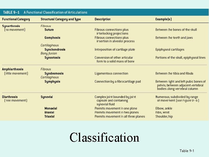 Articulations Chapter 9 Classification Table 9 1 Functional