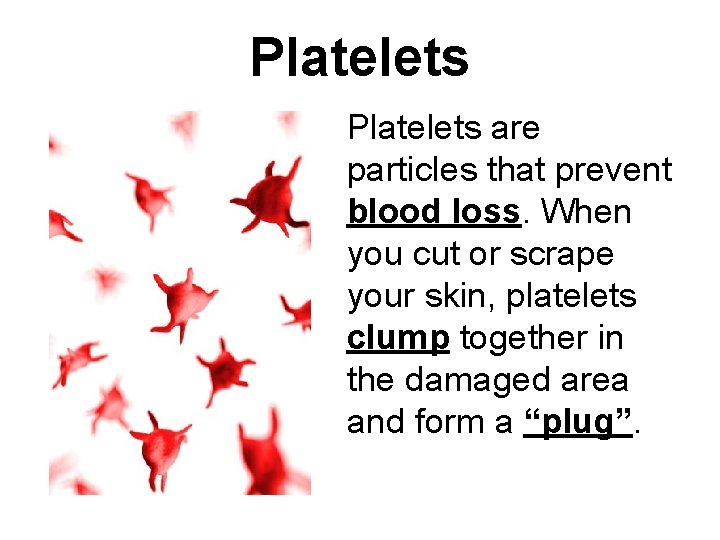 Blood and Blood Typing Circulatory System Blood You