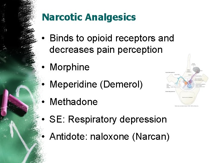 Pharmacokinetics What the body does to the drug