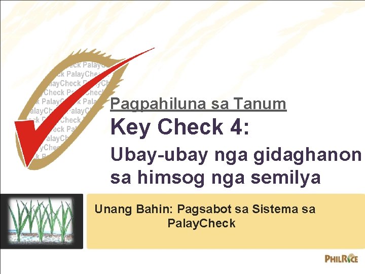 Pagpahiluna sa Tanum Key Check 4 Ubayubay nga