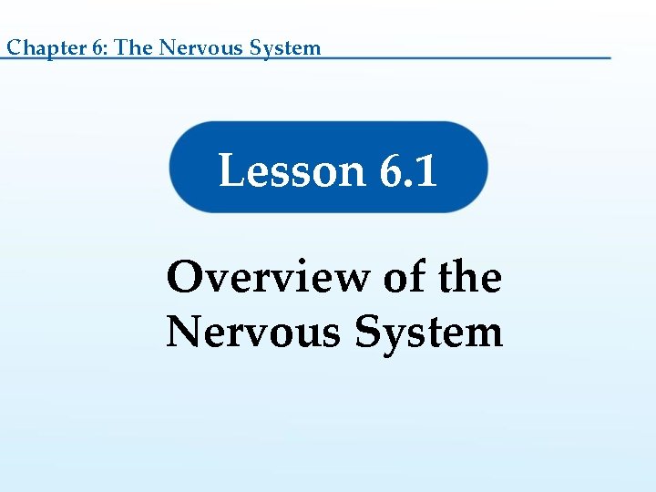 6 The Nervous System Lesson 6 1 Overview