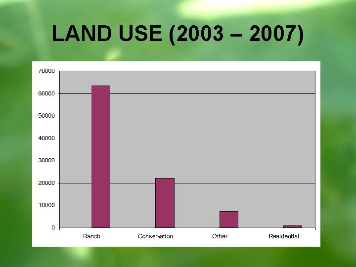 Solanum viarum and Gratiana boliviana Production Kenneth Hibbard
