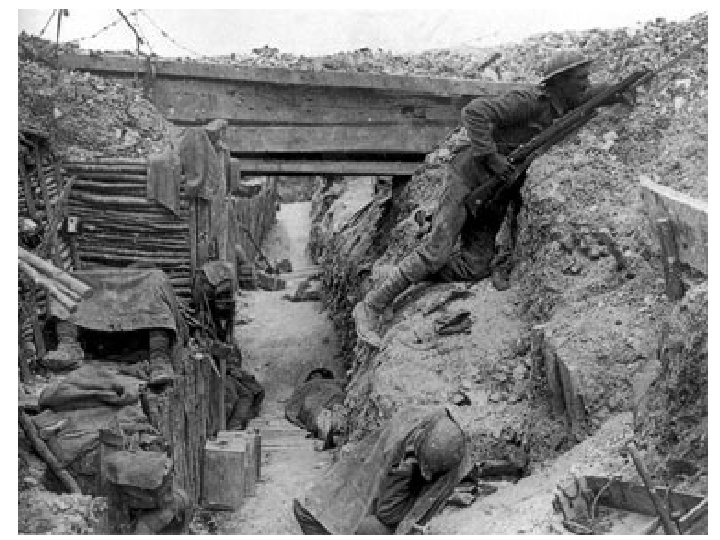 World War I Begins How did war break