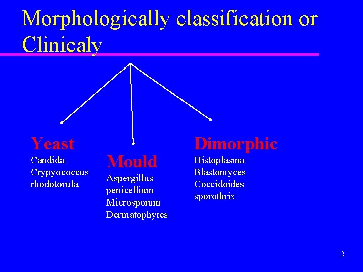 mycology Candida infection Dr Hams Mohamed Ahmed Assistant