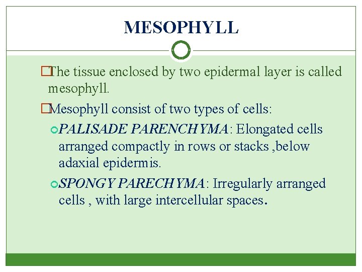 ANATOMY OF DICOT AND MONOCOT LEAF ANATOMY OF
