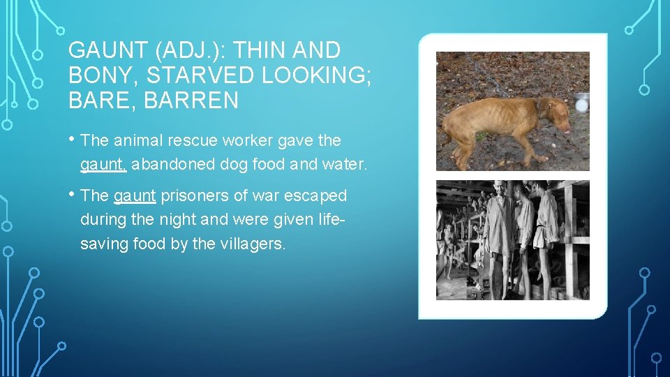 UNIT 8 AQUATIC ROBOTICS TECHNICAL ESSAY SET A