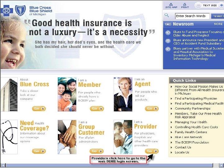 Michigan Medicaid on BCBSM webDENIS Eligibility Requests and