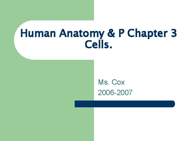 Human Anatomy P Chapter 3 Cells Ms Cox