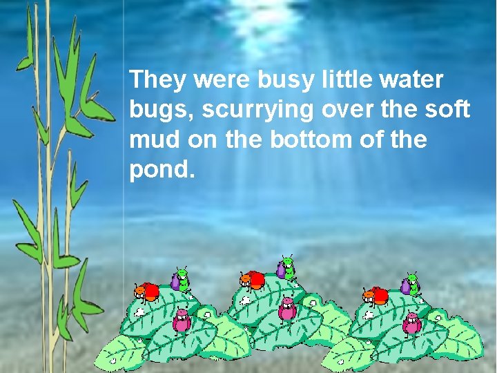 WATERBUG S AND DRAGONFLI By Doris Stickney ES