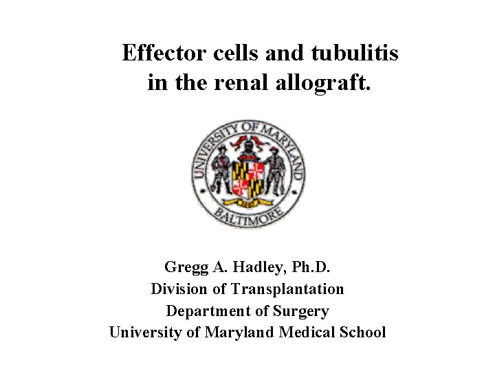 Effector cells and tubulitis in the renal allograft