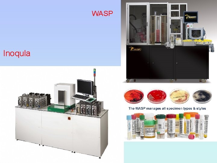 Automation in microbiology lab Dr Baha Eldin Khalid