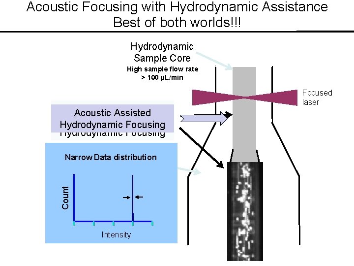 BMS 631 LECTURE 8 Flow Cytometry Theory Flow