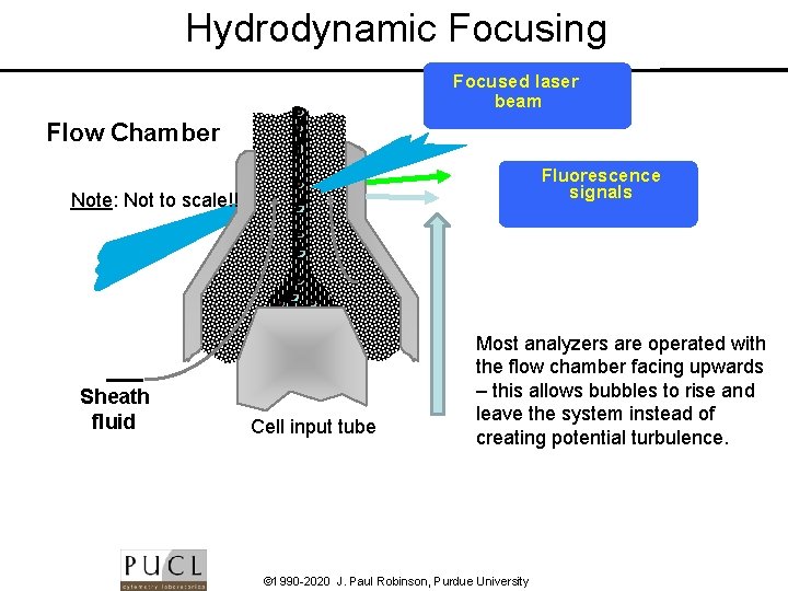 BMS 631 LECTURE 8 Flow Cytometry Theory Flow