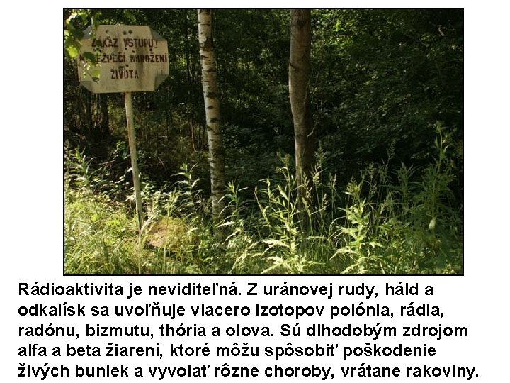 Rizik aby a spracovania urnu na Slovensku Fotografick