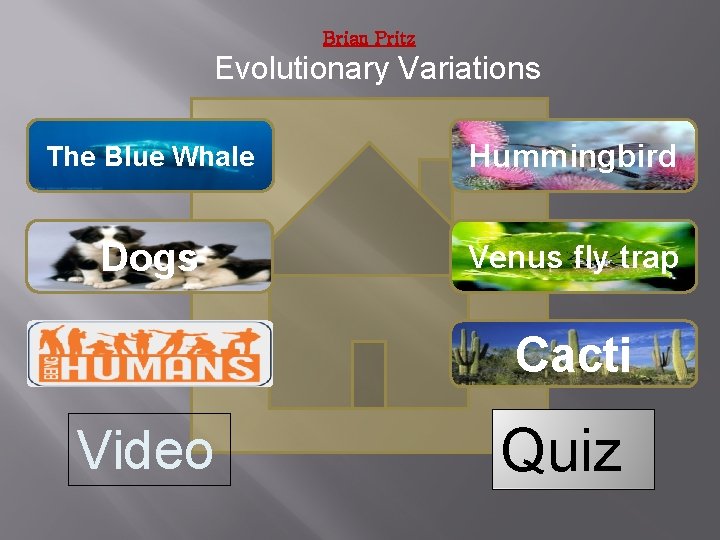 Brian Pritz Evolutionary Variations The Blue Whale Hummingbird