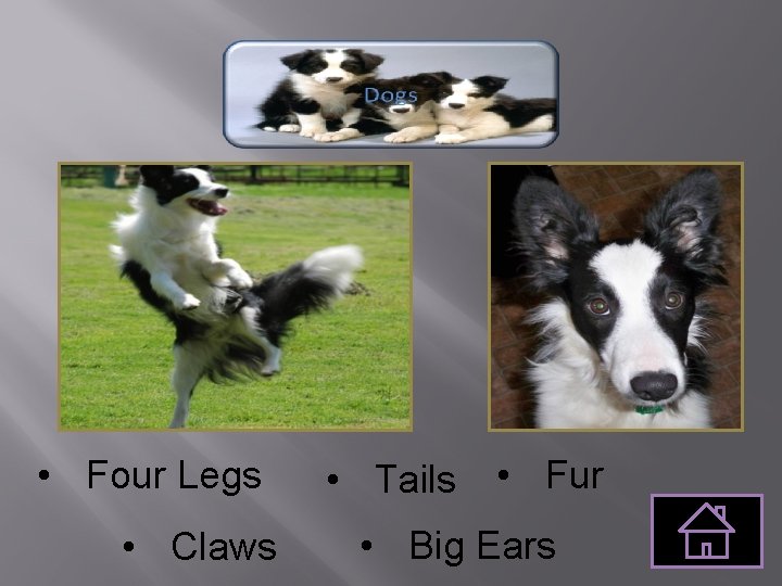 Brian Pritz Evolutionary Variations The Blue Whale Hummingbird