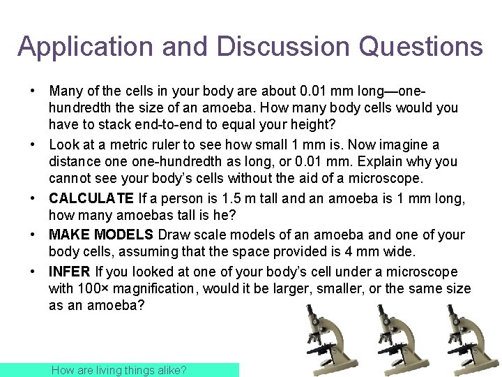 Lesson 04 Cells Cell Structure and Function Essential