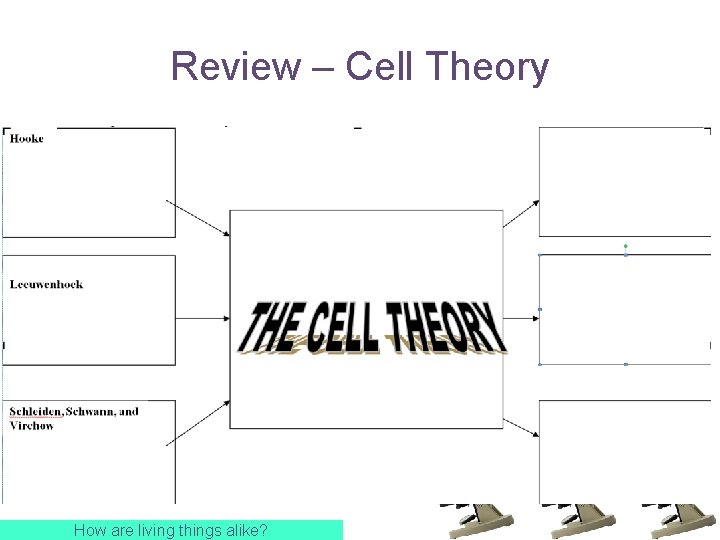 Lesson 04 Cells Cell Structure and Function Essential