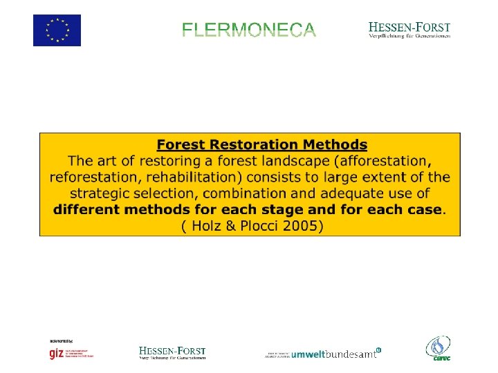 Reflections about Forest Reproductive Material Project financed by
