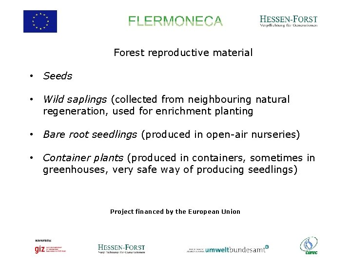 Reflections about Forest Reproductive Material Project financed by