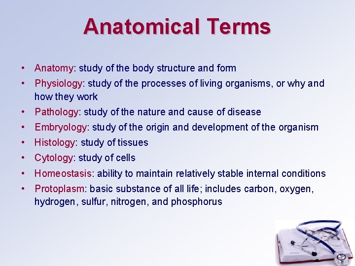 Human Anatomy Basic Structure Anatomical Terms Anatomy study