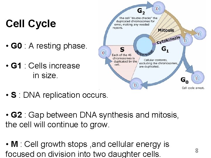 Antineoplastic drugs 1 2 Cancer a disease of