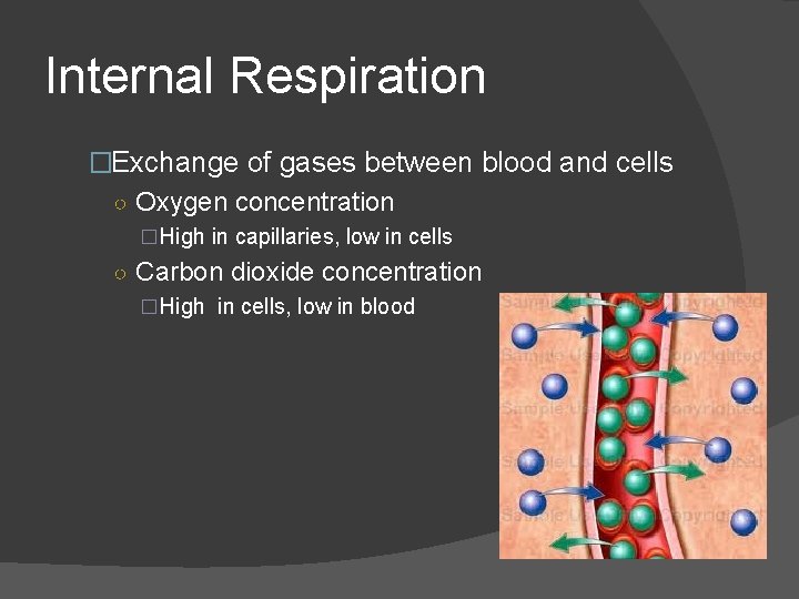 Chapter 13 RESPIRATORY PHYSIOLOGY Respiration Pulmonary ventilation ...
