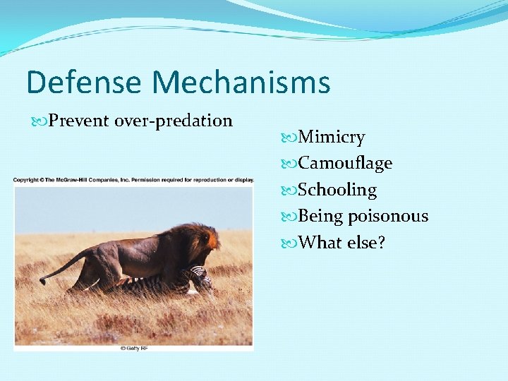 Ecology Community Energy Food Chains Abiotic Factors Light