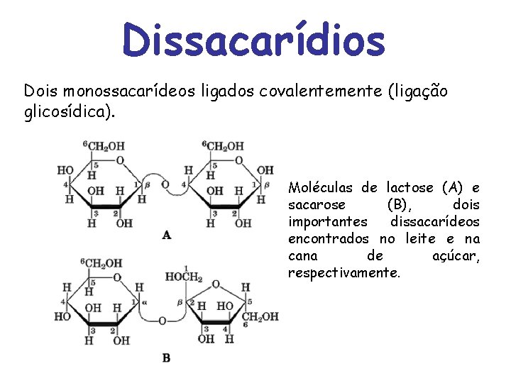 Estrutura e Funo Carboidratos ou Glicdios Carboidratos Mais