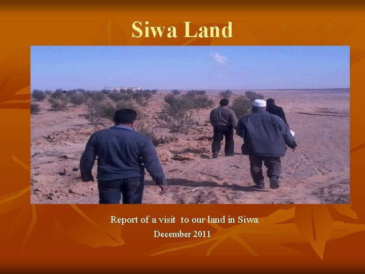 Siwa Land Report of a visit to our