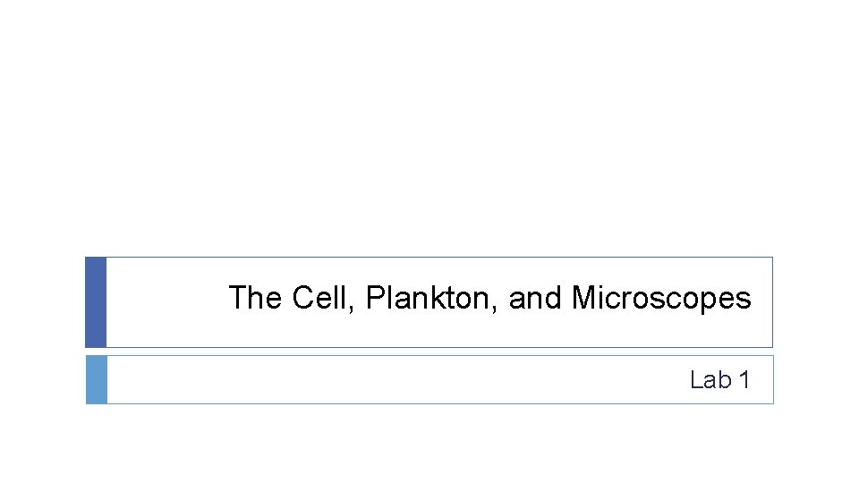 The Cell Plankton and Microscopes Lab 1 Cell