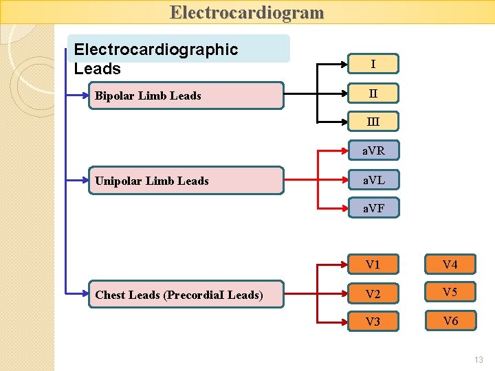 Session 5 Electrocardiogram ECG Guyton 2011 Chapter 11