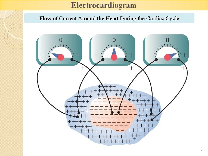 Session 5 Electrocardiogram ECG Guyton 2011 Chapter 11