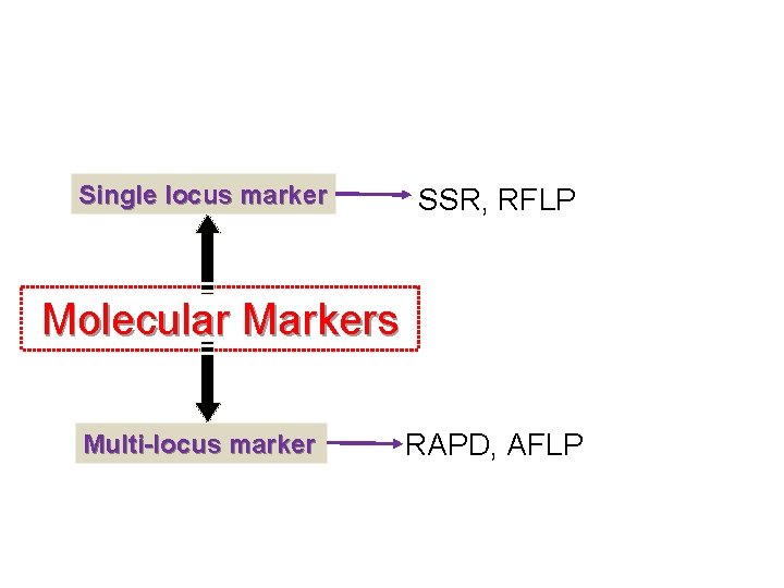 PCRRFLP IMBB 2017 RAB Kigali Rwanda May 02
